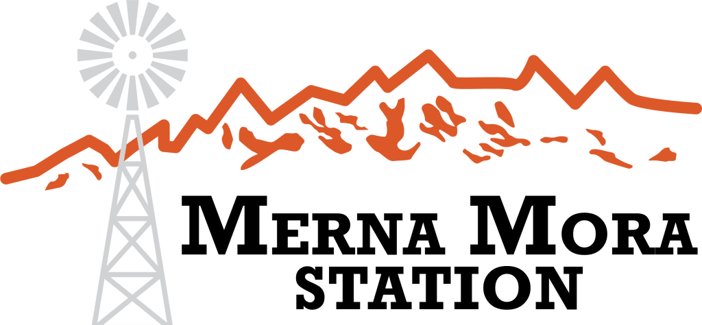 Merna Mora Station – Western Wilpena Pound – Flinders Ranges – South ...