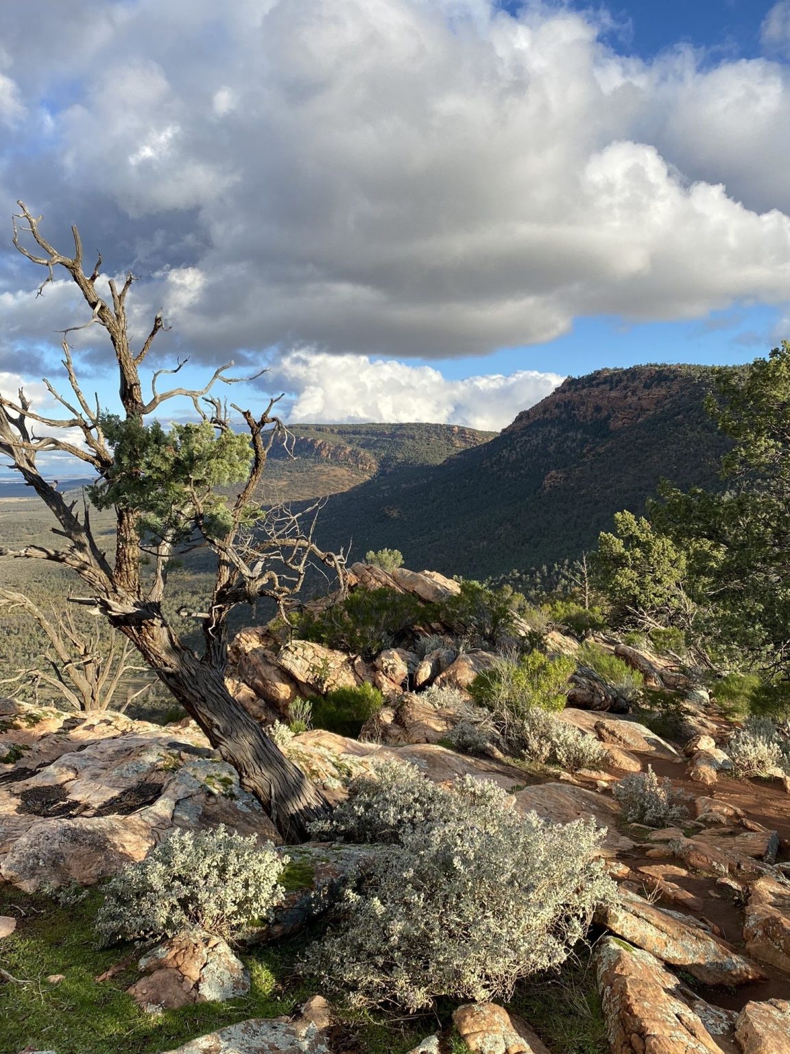 Merna Mora Station – Western Wilpena Pound – Flinders Ranges – South ...